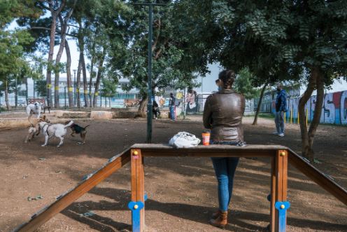 'Ετοιμο το πρώτο πάρκο σκύλων στη Ν. Σμύρνη - Kidshub