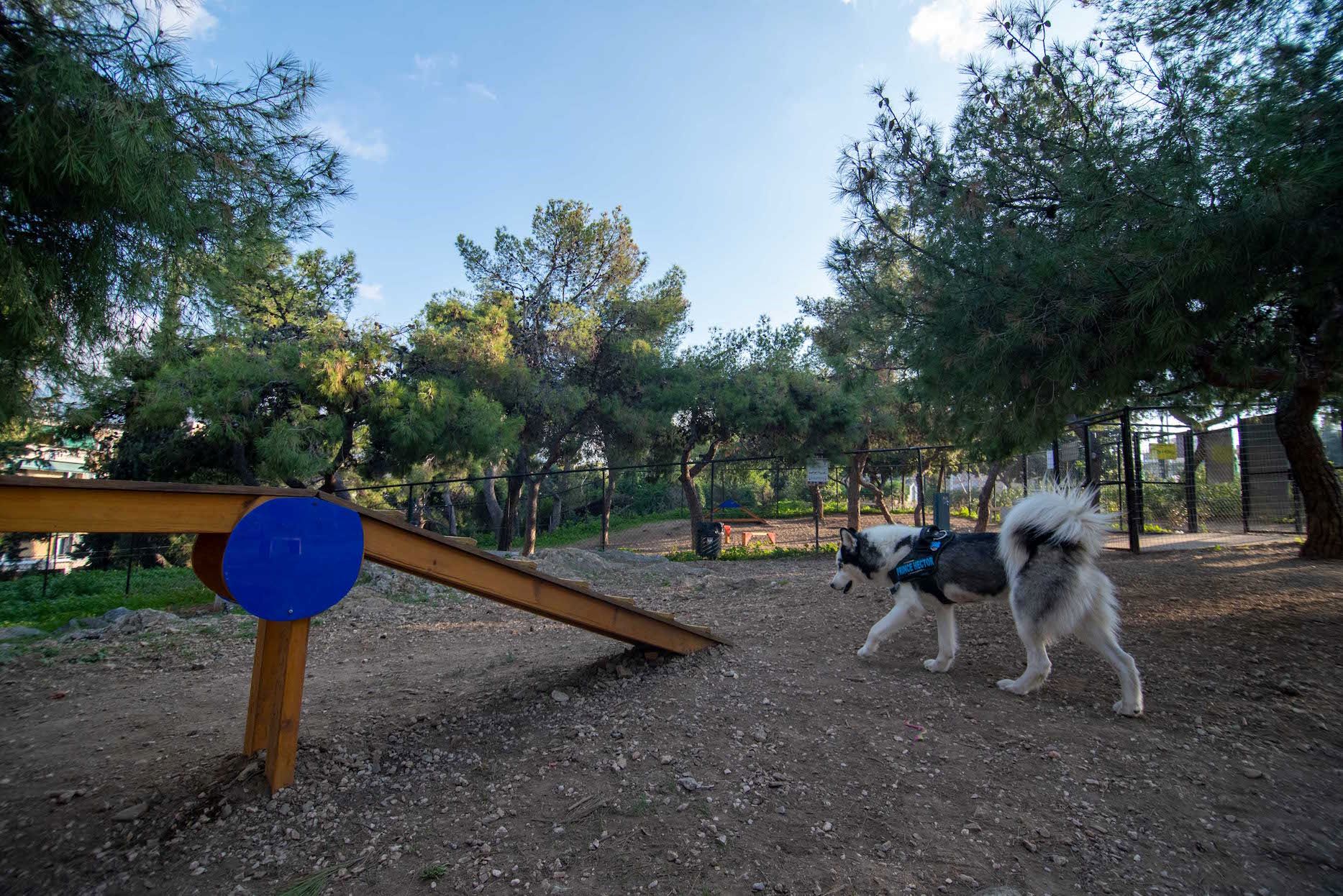 'Ετοιμο το πρώτο πάρκο σκύλων στη Ν. Σμύρνη - KidsHub